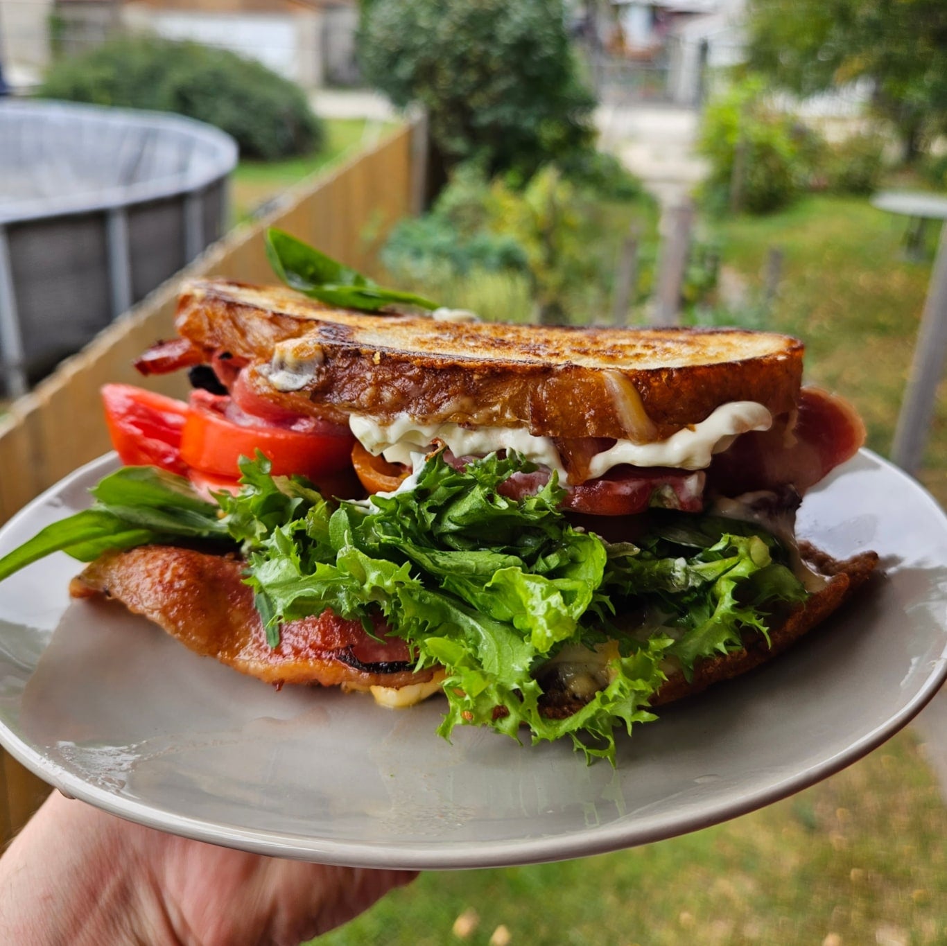 VIP Pass | Sandwich Party LLC